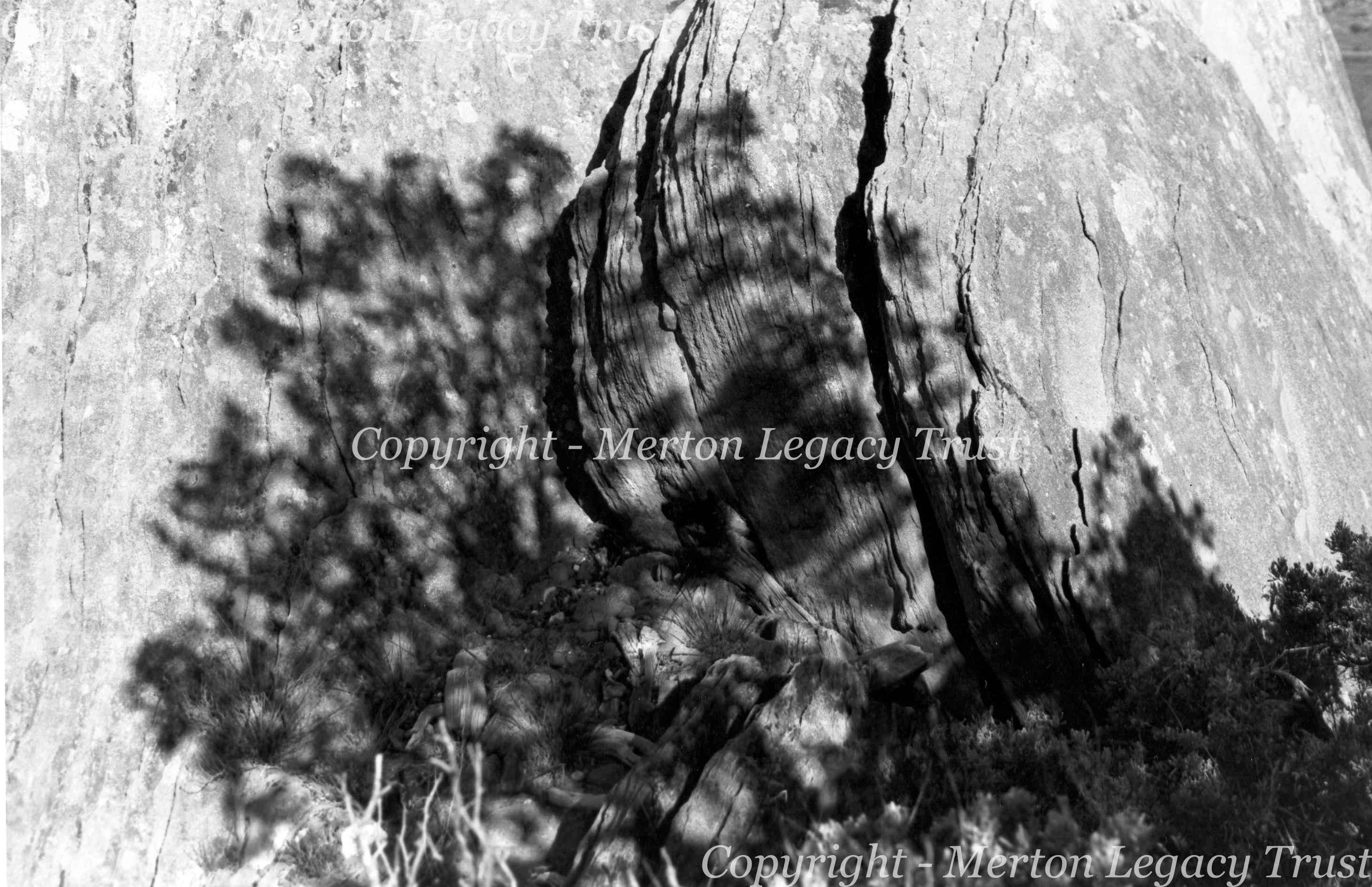 A Hidden Wholeness: The Zen Photography of Thomas Merton - Thomas ...